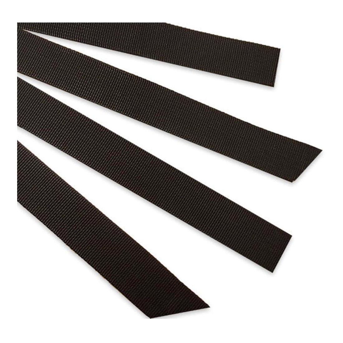 Giant Loop 1" Nylon Webbing - 72" Long – Highside Shop